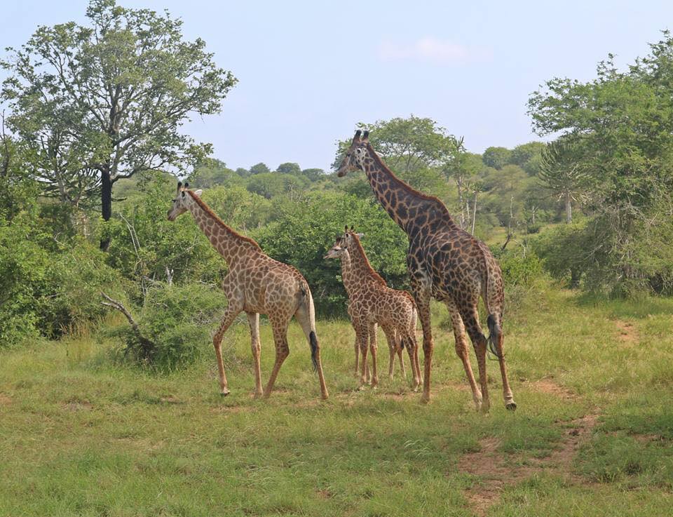 Luzayatour – Discouver Luanda's most touristic attractions such as ...